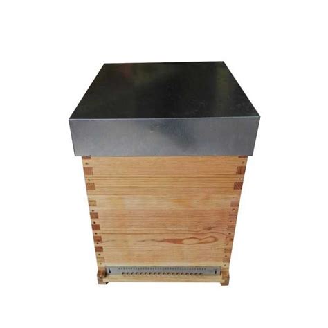 Colmena Layens Dominguez