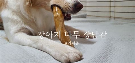강아지 나무 장난감 우드스틱 커피츄 네이버 블로그