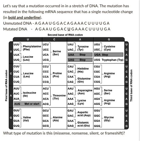 Solved Lets Say That A Mutation Occurred In A Stretch Of Dna The