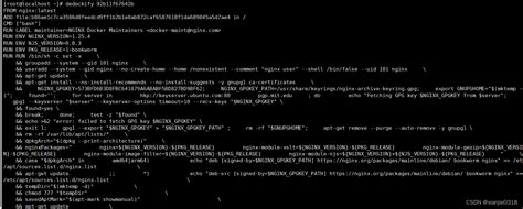 docker镜像逆向生成dockerfile docker镜像反推dockerfile csdn博客