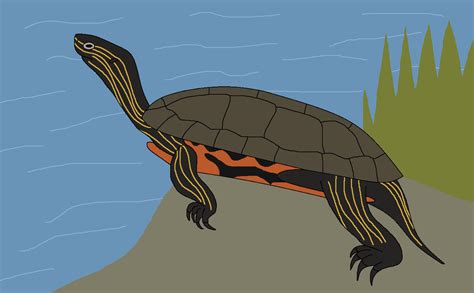 Stripy Neck By Wildandnaturefan On Deviantart