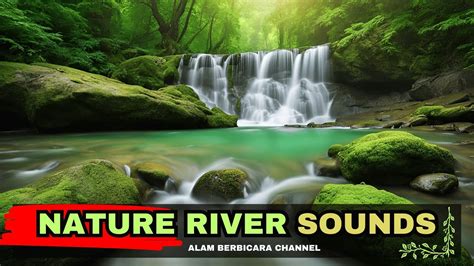 Relaxing River Sounds Relaxing Forest Sounds Nature Sounds Relaxing