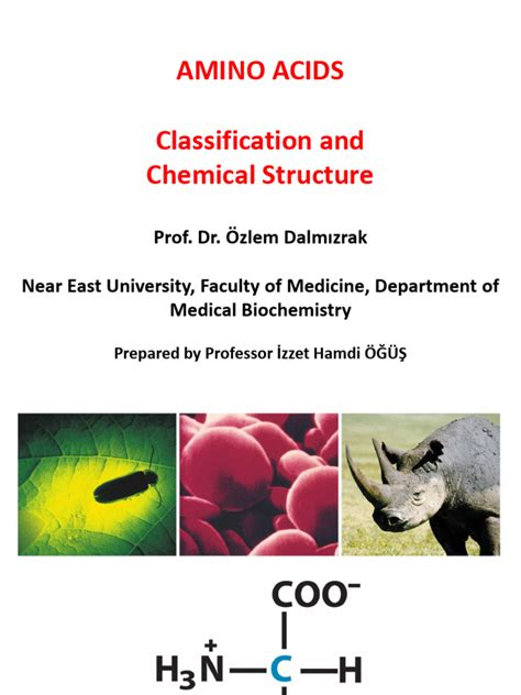 Amino Acids Classification And Chemical Structures Pdf Amino Acid