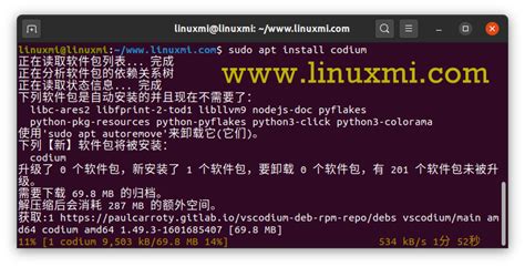 代码编辑器vs Codium 真正免费开源的 Vs Code Linux迷