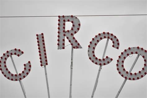 무료 사진 음향 손가락 기타리스트 손 기타 음악 악기 남자 야외에서 음악가