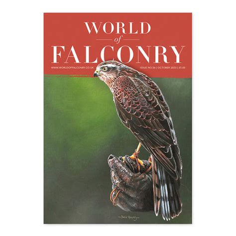 World Of Falconry Issue Solentpublishing