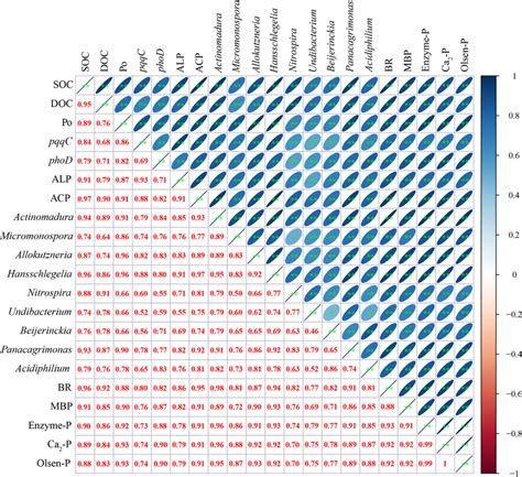 Relationship Among Key Physicochemical Properties P Fractions Alp Download Scientific