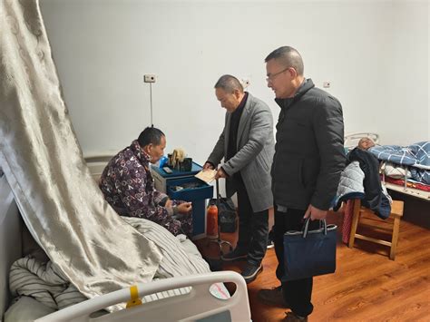 委领导赴桃花镇公前村开展春节走访慰问