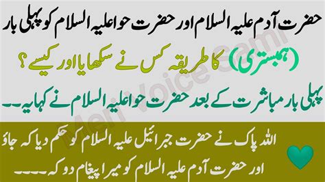 Hazrat Aadam As Ko Pehli Bar Hambistri Ka Trika Kis Ny Skhaia Youtube