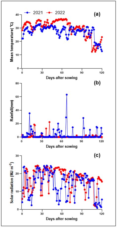 Enhancing Rice Yield And Nitrogen Utilization Efficiency Through Optimal Planting Density And