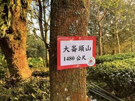 千慧登山社 風格獨具 最不一樣的登山社 自由時報新聞分享 山友卦標牌用鋼針釘牛樟主幹 園主氣炸