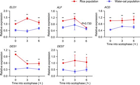 Relative Expression Of Putative Sex Pheromone Biosynthetic Genes