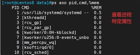 Linux进程管理linux 进程带 Csdn博客