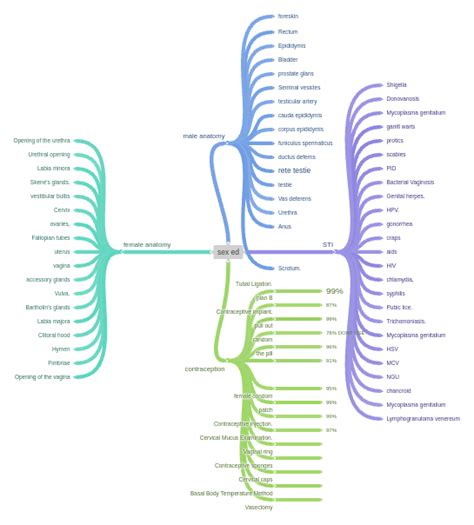 Sex Ed Coggle Diagram