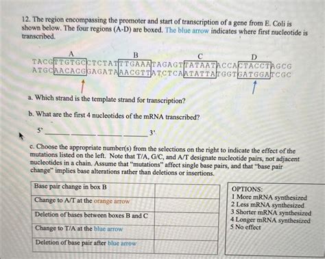Solved 12 The Region Encompassing The Promoter And Start Of