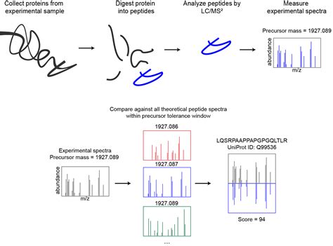 Cartoon Schematic Of A Typical Proteomics Workflow