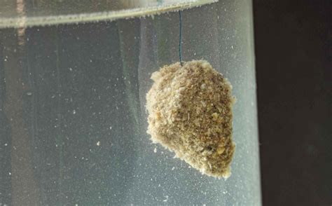 How I Make Fishing Paste Fishy Stinky Hook Bait Fr Blog