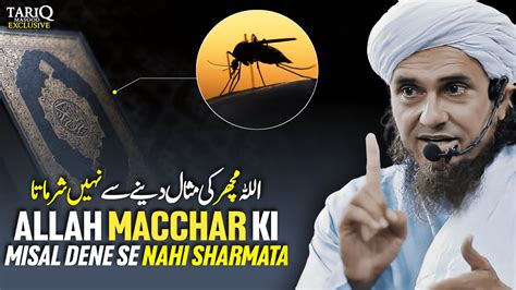 ALLAH Macchar Ki Misal Dene Se Nahi Sharmata Mufti Tariq Masood YouTube