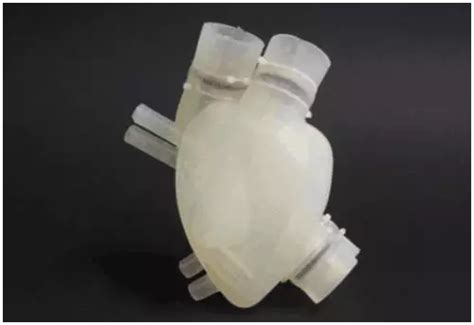 全球首枚3d打印心脏问世！