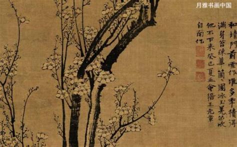王冕梅花高清 梅花 梅花元 大山谷图库