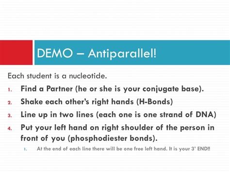 Ppt Dna Structure Powerpoint Presentation Free Download Id 2972819