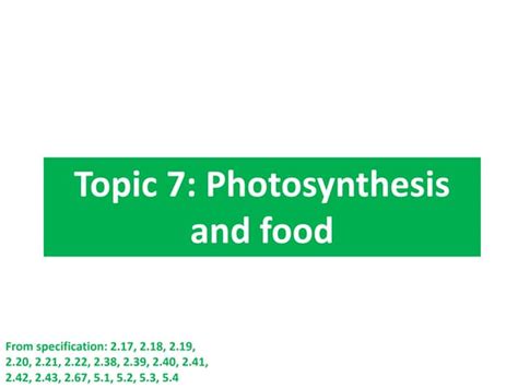 Photosynthesis Ppt 1pptx