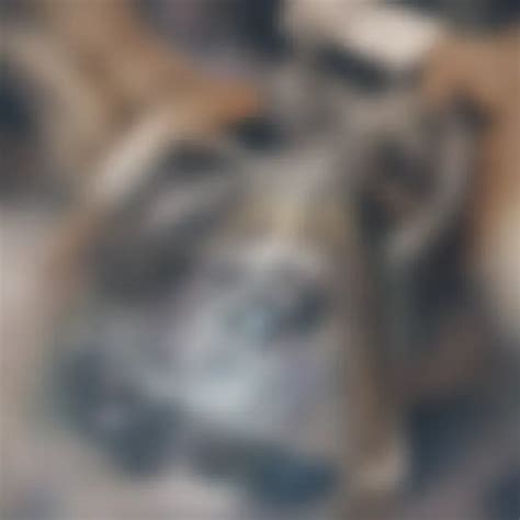 Hubble Space Telescope A Historic Launch Overview