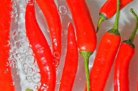 Premium Photo Red Chilli Peppers On White Background Hot Chilli