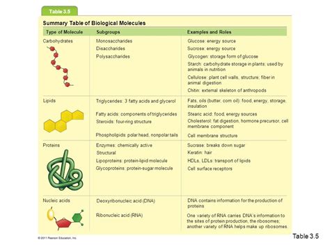 Biological Macromolecules Table