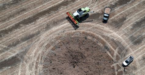 Як війна впливає на родючість ґрунтів та якість їжі Свідомі