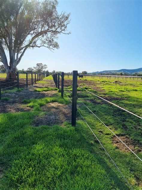 The Biggest Problems With Plastic Fence Posts And Solutions