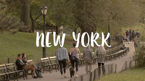 뉴욕 프리랜서 브이로그 가을 문턱의 일상 일본어 공부 노란빛 센트럴파크 홀로 미술관 산책 유기농마켓에서 장보기 고양이 임보 채식 미국 직장인 Youtube