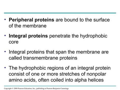 Membrane Structure And Function Campbell Ppt