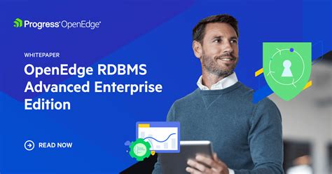 Openedge Rdbms Advanced Enterprise Edition Progress Openedge