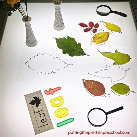 Light Table Leaf Exploration