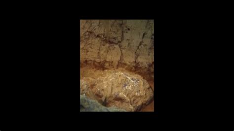 New Fossilized Skull Of Yunxian Man Found In Central China Youtube