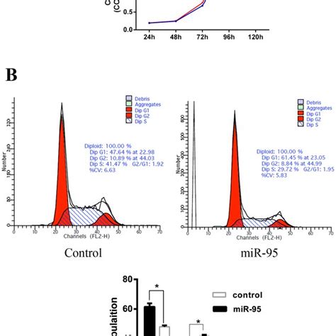 Effect Of Mir 95 Mimics On C2c12 Cell Proliferation And Cell Cycle A