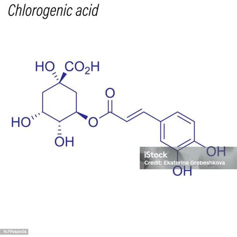 Formula Kerangka Asam Klorogenat Molekul Kimia Obat Ilustrasi Stok