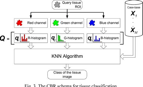 Figure From New Protocol For Leg Ulcer Tissue Classification From Colour Images Semantic Scholar