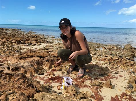 Clear As Mud The Origins Of Early Pottery In The Lucayan Islands