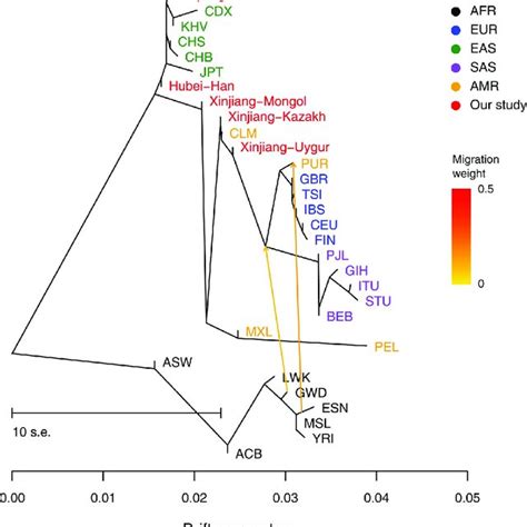 The Maximum Likelihood Tree Showed The Patterns Of Population Splits Download Scientific