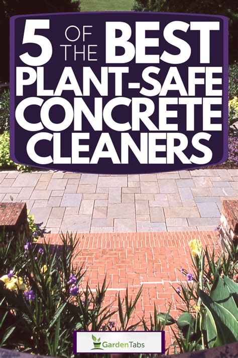 5 Of The Best Plant Safe Concrete Cleaners