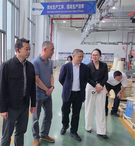 省推进新型工业化工作制造业高质量发展督査组 莅临公司调研督查