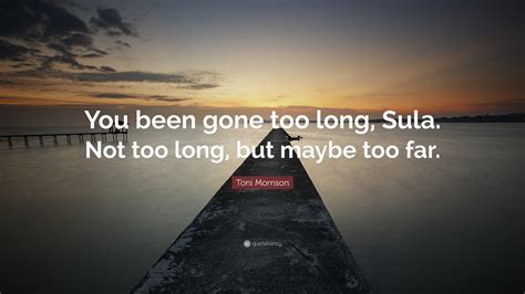 Toni Morrison Quote You Been Gone Too Long Sula Not Too Long But