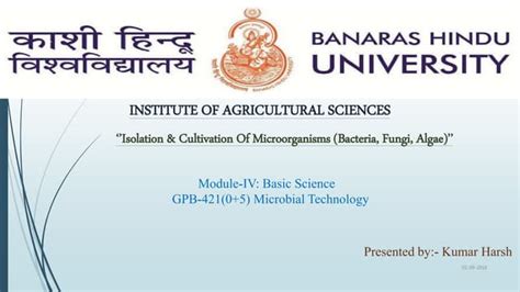 Isolation Of Microbes Pptx Biological Sciences Science