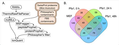 Dataflow Pipeline And Identification Counts In Proteomic Data A