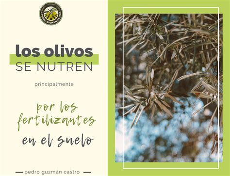 Cómo renovar mi carnet de aplicador de productos fitosanitarios
