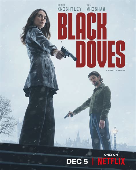 黑鸽 Black Doves 亿万同人字幕组