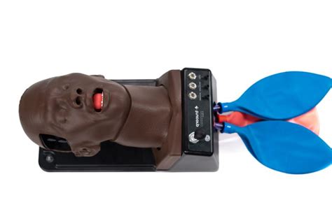 Understanding The 2025 Das Intubation Guidelines Trucorp