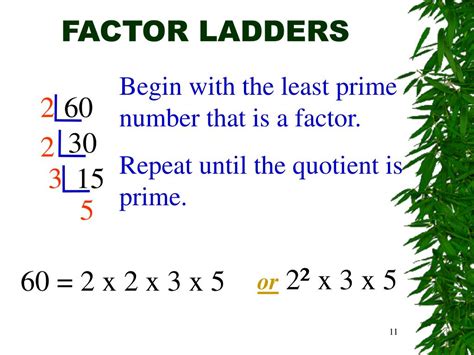 Ppt Prime Factorization Powerpoint Presentation Free Download Id